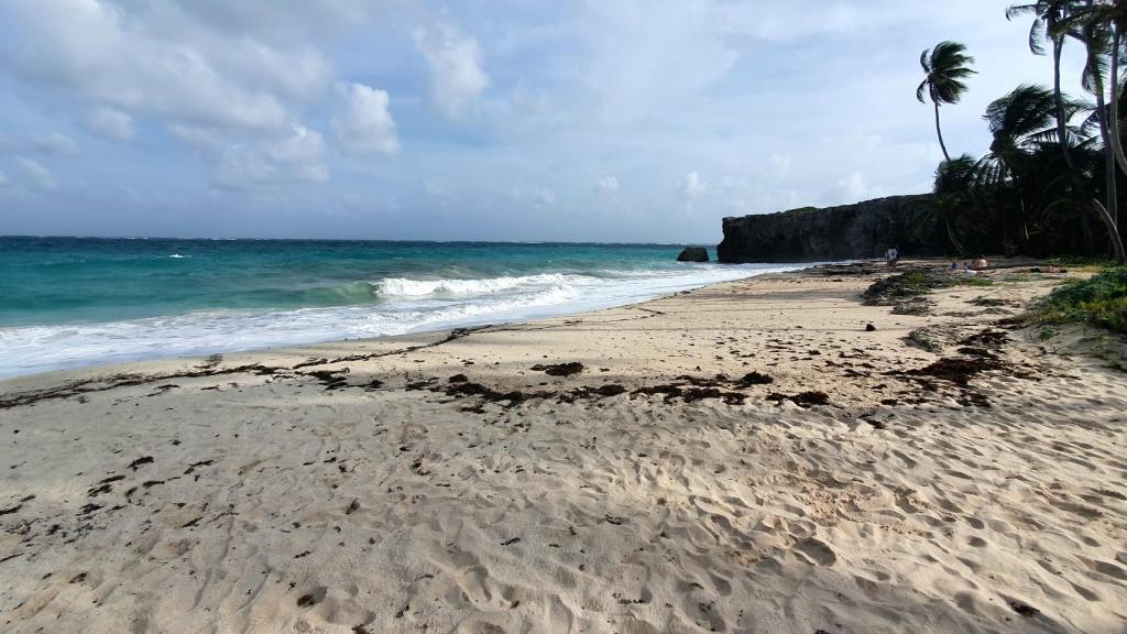 Bottom Bay / Barbados - Sehenswürdigkeit und Fotomotiv - Tipps