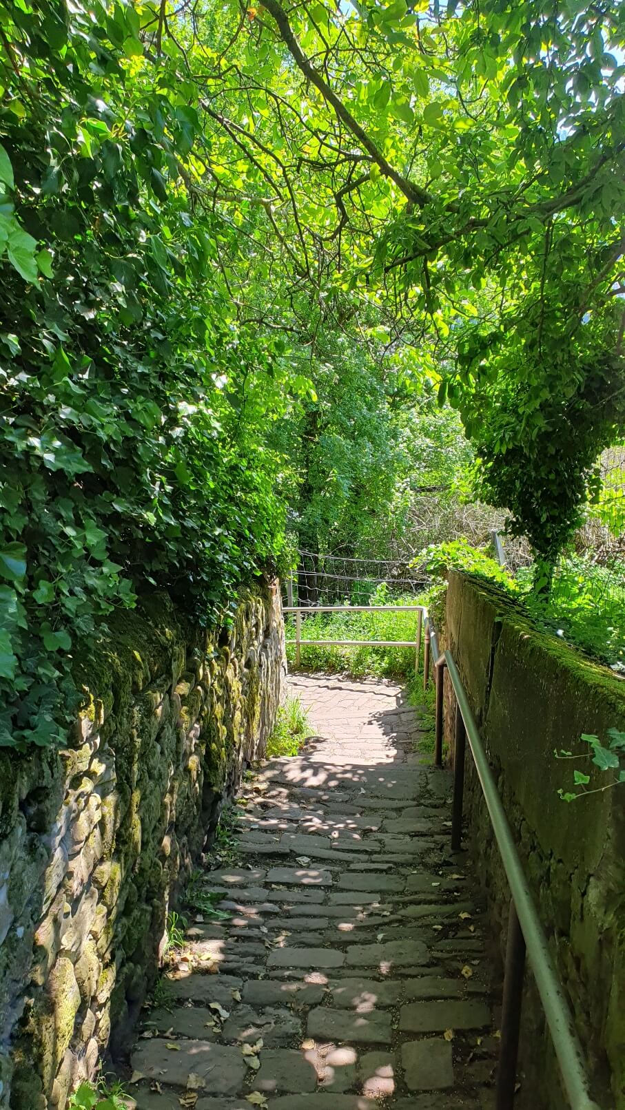 Philosophenweg Heidelberg - Wanderung - Erfahrungen und Tipps