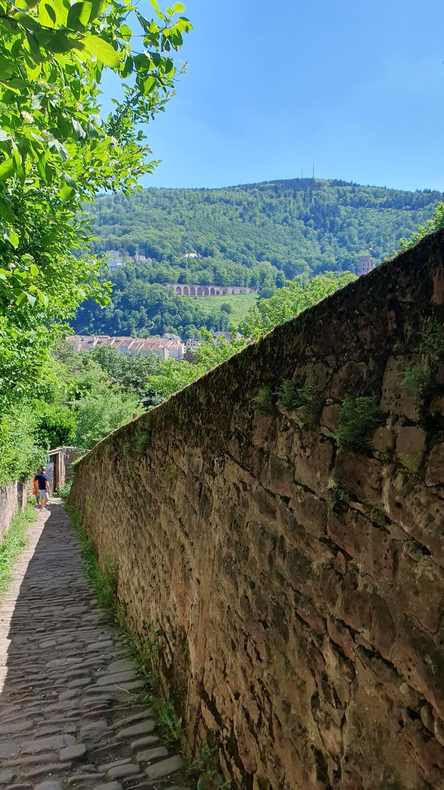 Philosophenweg Heidelberg - Wanderung - Erfahrungen und Tipps